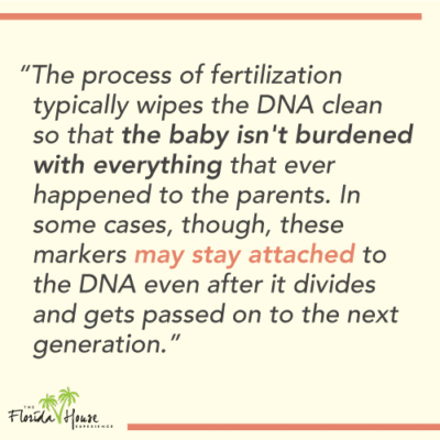 Can Responses to Stress Be Passed Down Genetically? | FHE Health