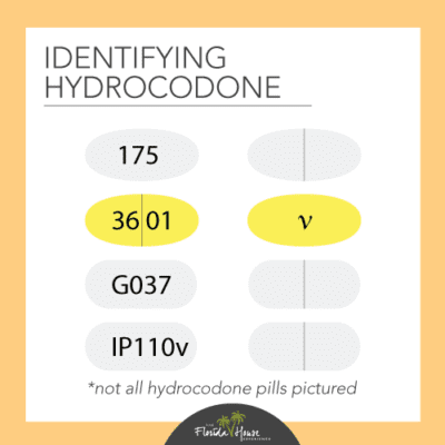 What is Hydrocodone? Abuse, Addiction, & Treatment