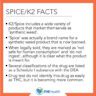 Spice & K2: Abuse, Addiction & Treatment Options | FHE Health