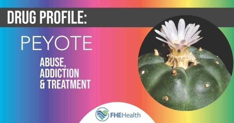 Peyote Drug Profile: Abuse, Addiction & Treatment | FHE Health
