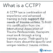 CCTP’s Role in Trauma Therapy: Improved Outcomes for Treatment | FHE Health