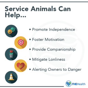 Mental Health Benefits of Therapy Dogs and Service Animals