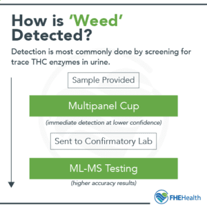 How To Flush Weed Out of Your System | FHE Health