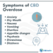 Can You Overdose on CBD Oil? Learn The Dosages & Signs