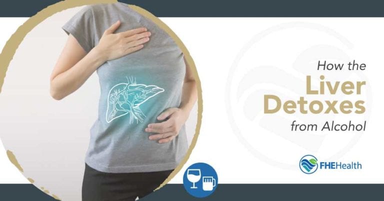 How Does the Liver Detox from Alcohol? | FHE Health