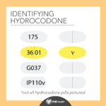 What is Hydrocodone? Abuse, Addiction, & Treatment | FHE Health