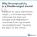Neuroplasticity’s Role in Addiction Recovery | FHE Health