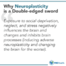 Neuroplasticity’s Role in Addiction Recovery | FHE Health