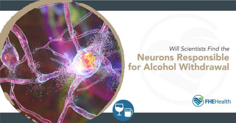 Cracking the Code: Neurons in Alcohol Withdrawal | FHE Health