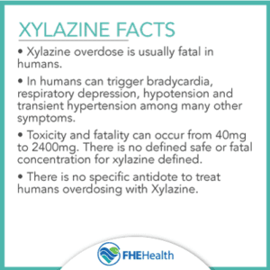 Xylazine: The Veterinary Sedative with Human Risks | FHE Health