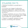 Xylazine: The Veterinary Sedative with Human Risks | FHE Health