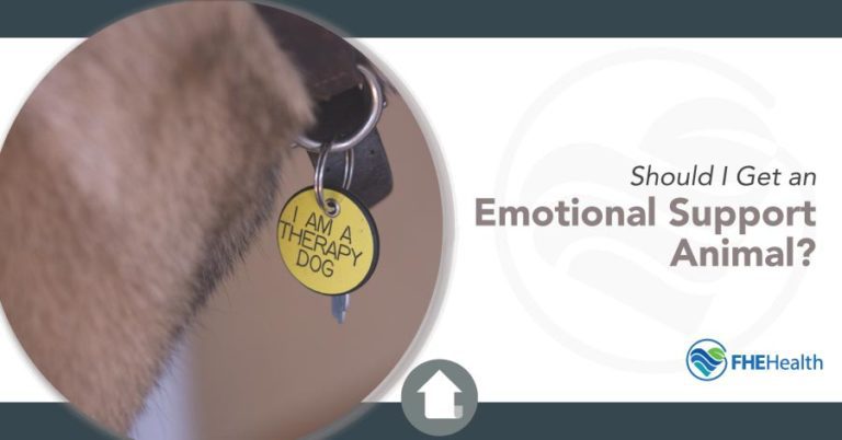 Considering an Emotional Support Animal: Is It Right for You? | FHE Health