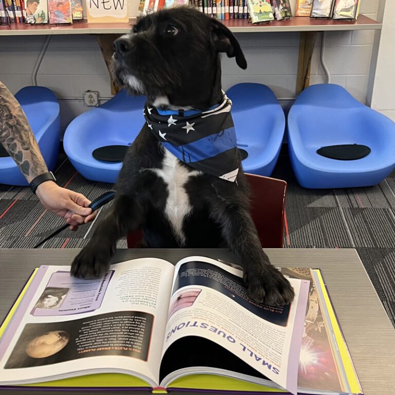 Sergeant Bo: 2023 Winner of the First Responder Paws Award | FHE Health