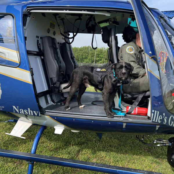 Sergeant Bo: 2023 Winner of the First Responder Paws Award | FHE Health