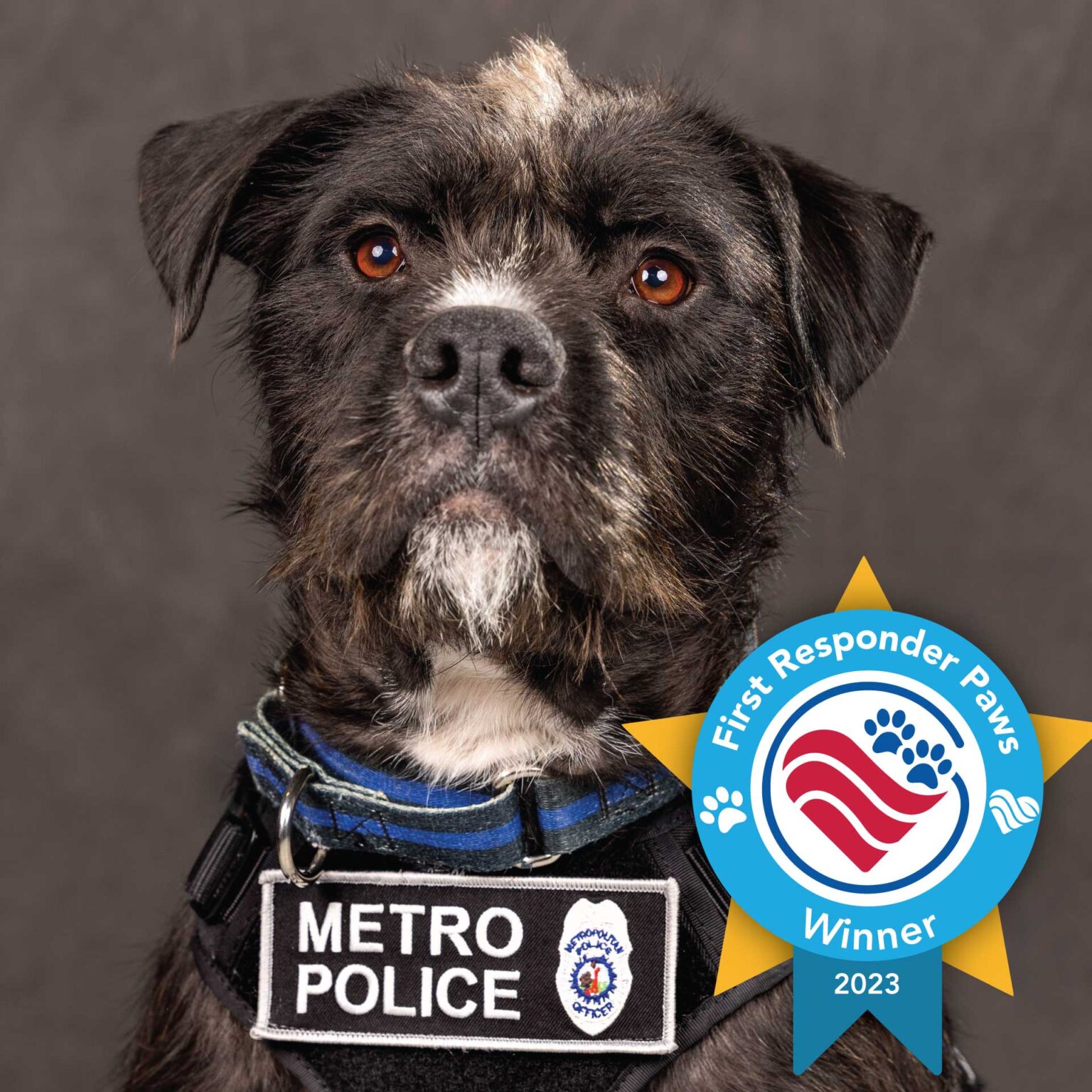First Responder Paws - 2023 | FHE Health