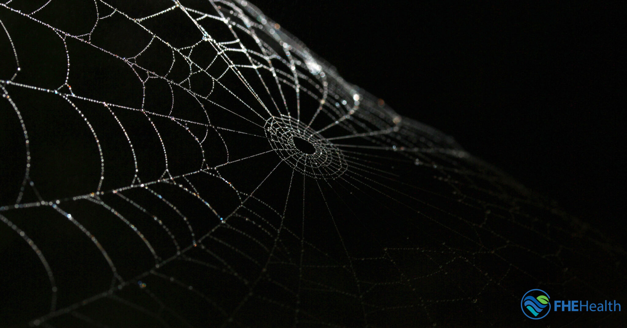 Tom Holland on the Web of Alcohol Addiction | FHE Health